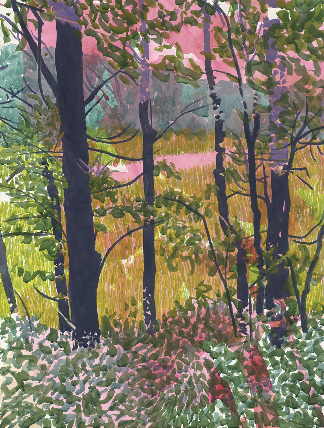 Michele Lauriat: ‘Drawings from the Rachel Carson National Wildlife ...